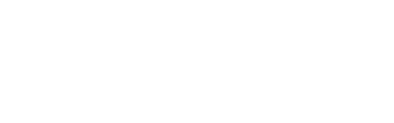 LTS Transport u. Logistik GmbH Österreich